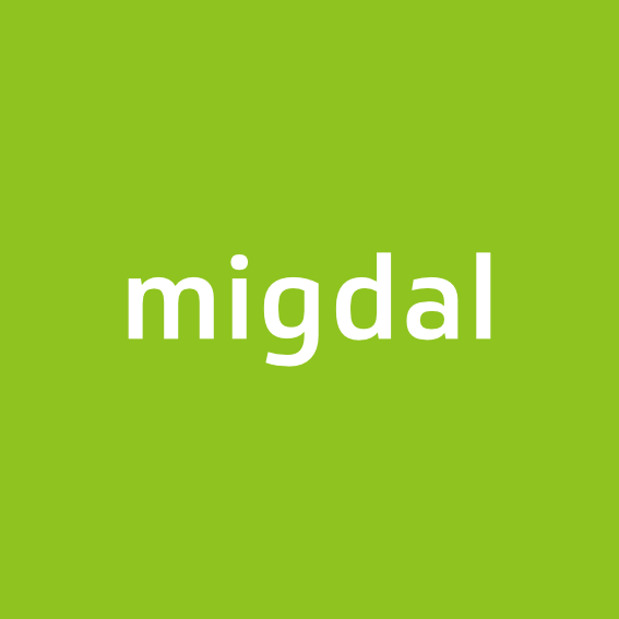 メタ - Migdal